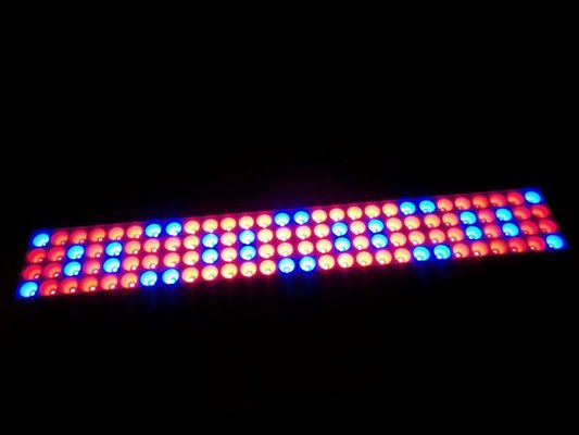 20W 40W 60W 80W 100W LED Grow Light Hydroponic Plant – Growth Lighting
