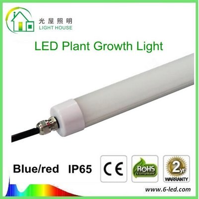 Hydroponic LED Tube Grow Lights T8 With Rotatable End Cap , 120 Degree Angle