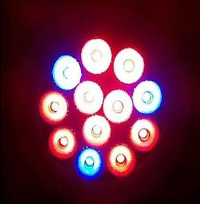 Aluminum Alloy 15 Watt Hydroponic Led Grow Light For Bonsai Lighting , 300mA