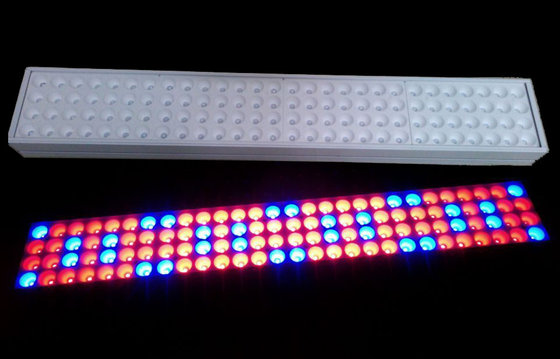 50 W SMD LED Tube Grow Lights 900mm Length With 50～60Hz Frequency