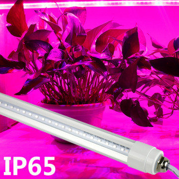 Professional Blue / Red LED Tube Grow Lights For Plant Growth , 18W Power