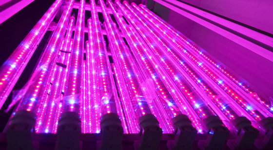 1200mm Hydroponic Led Grow Light Tube For Vertical Farm , Water Resistance