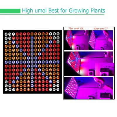 Indoor Garden Full Spectrum LED Grow Lights For Reenhouses , 75W Wattage