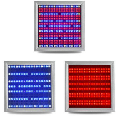 Professional Full Spectrum LED Grow Lights For Vertical Farm , high Lumens 3600lm