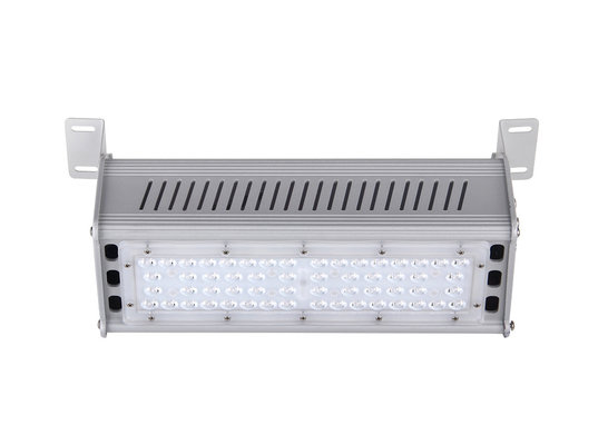 300mm 50W Linear Energy Efficient Chilli Grow Lights 45 W For Greenhouse , High Frequency