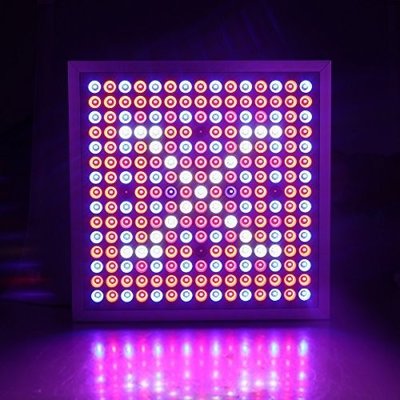 Led Indoor Garden Lights For Flower , Grow Room Led Lights 60° Beam Angle