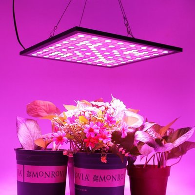 300x300mm Indoor Full Spectrum LED Grow Lights Dimmable With 3000K-6500K CCT
