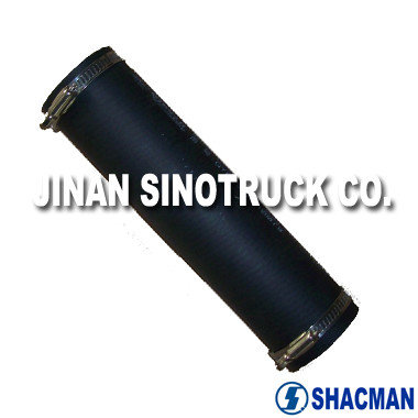SHACMAN Truck Parts QY61500010079 Hose