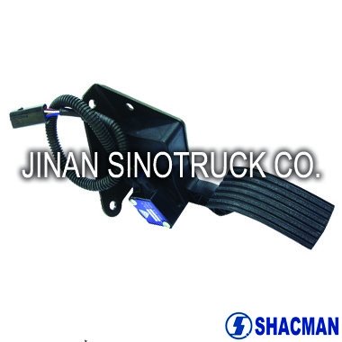 SHACMAN Truck Parts DZ93189570083 Eletronic Padel