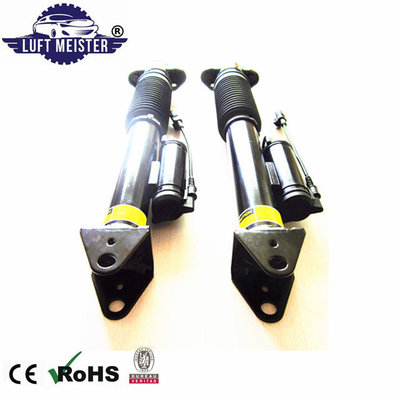 Mercedes W166 ML350 Amazon Hot Sale Rear Air Suspension Shock Absorber 1663200130 1663200930 supplier