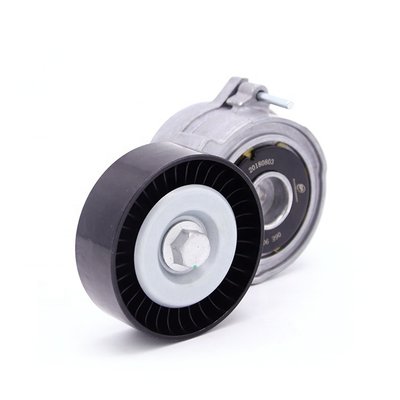 06E903133T Competitive Price Bearing Pulley Tensioner Engine Timing Pulley Tensioner for Audi A8 Q7 supplier