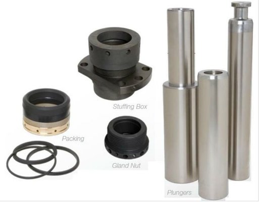TWS600S plunger pump parts