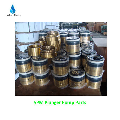 TWS600S plunger pump parts