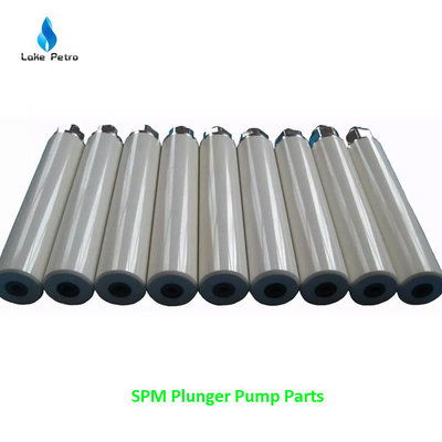 TWS600S plunger pump parts