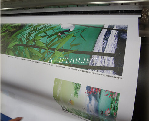 1.8m A-starjet printer DX5 eco solvent printer for PVC Vinyl