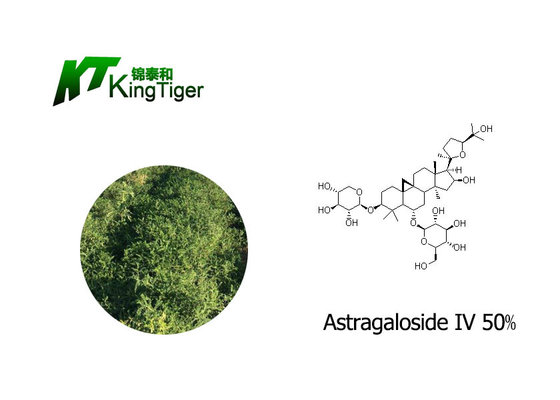 50% Astragalus Root Extract Astragaloside IV HPLC Test C41H68O14 Anti - Aging