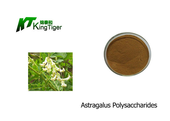 Brown Powder Astragalus Polysaccharides Solvent Extraction Boosts The Immune System