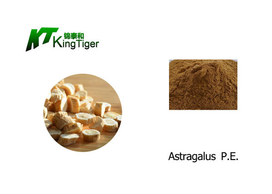 Brown Yellow Powder Astragalus Extract Powder Bge Increase Energy And Endurance