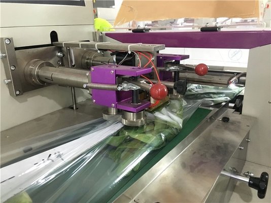Packing machine for food pillow bag fresh vegetable flow wraping machines TCZB-600X
