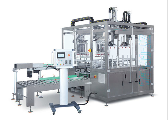 Three Phase Automatic Case Packer Stainless Steel Case Packaging Machine