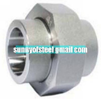 duplex ASTM A182 F45 soket weld union