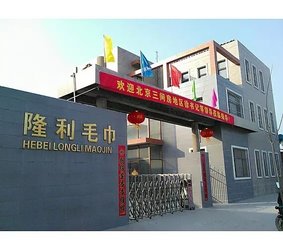 Hebei Mood Textile Co., Ltd.