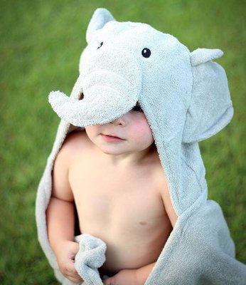 The newest eco-friendly fairy animals embroidery bamboo baby hooded towel
