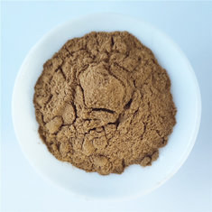 China Water Soluble Cinnamon Extract Powder In Bulk supplier