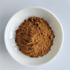 China gmp health care product extract butcher's broom root supplier