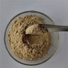 China Hot Sale energy supplement galangal extract with best price supplier