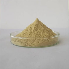 China Weight Loss Products Antirheumatic Ginger Powder Dried supplier