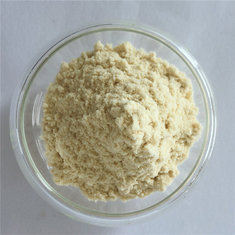 China Medicine Grade  Migraine Relief Sophora Japonica Extract supplier