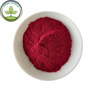 Wholesale Elderberry Powder For Instant Tea Powder supplier