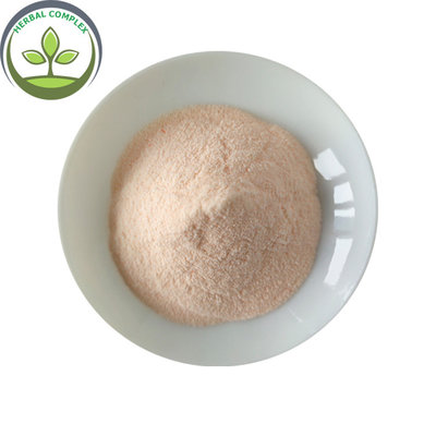 Wholesale Carica Papaya Fruit  Juice Powder/Carica Papaya supplier