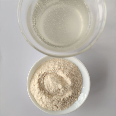 Food Grade Organic Loquat Powder For Solid Drinks supplier