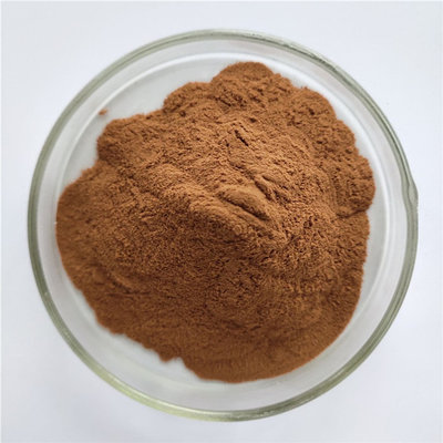 GMP Anti-inflammatory Coleus Forskohlii Extract supplier