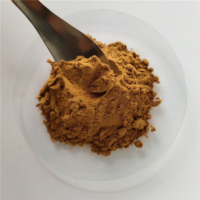 Villous Amomum Fruit Extract/villous amomum fruit supplier