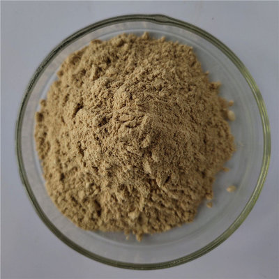 gmp health care product Extract nardostachys jatamansi with best price supplier
