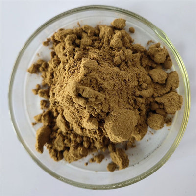 gmp anti-inflammatory devil's claw extract for capsule supplier