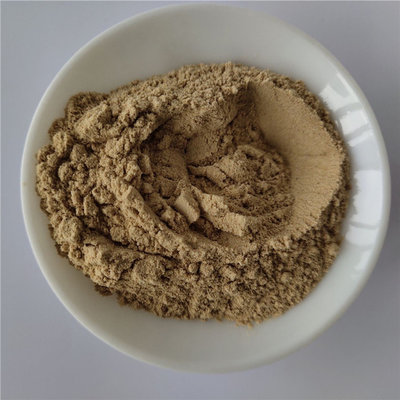 wholesale rheumatism capsule desmodium extract in bulk supplier