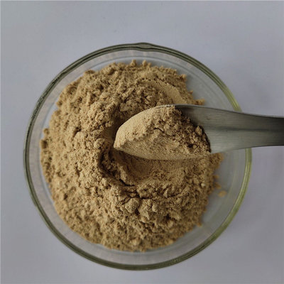 wholesale chaga mushroom extract/chaga extract in bulk supplier