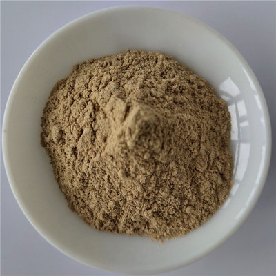 Hot Sale energy supplement galangal extract with best price supplier