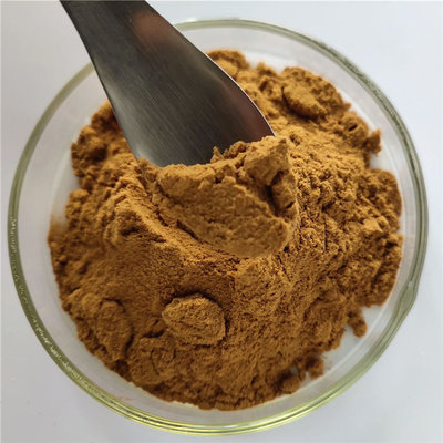 Extract Herbal Wild Mango Seed Extract Powder supplier