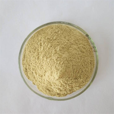 Pharmaceutical Grade Dried Ginger Powder Price supplier