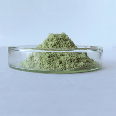 Healthy Food And Drinks Dandelion Powder For Solid Beverage supplier