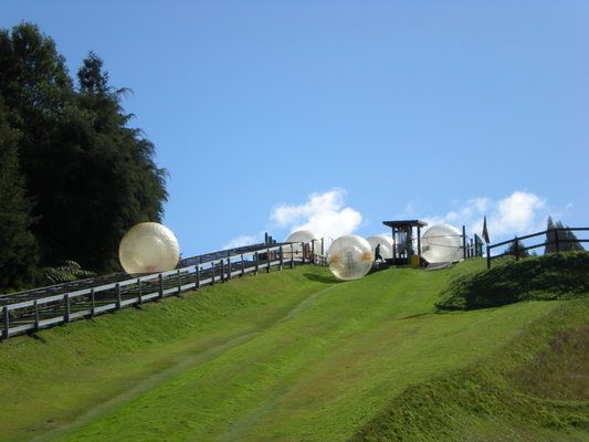 Custom Inflatable Zorb Ball , Interesting Land Zorb Human Hamster Ball