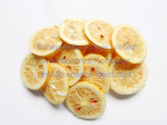 Freeze Dried Lemon Slice