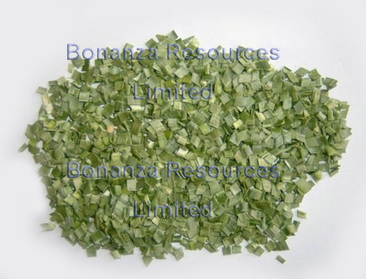 Freeze Dried Leek