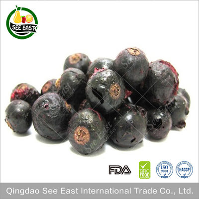 Halal food chinese freeze dried black currant from ISO certified company