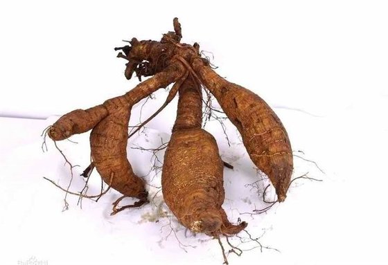 Organic Herbal Extract Kudzu Root P.E. Kudzu Root Extract Puer Nature Cas 3681 99 0